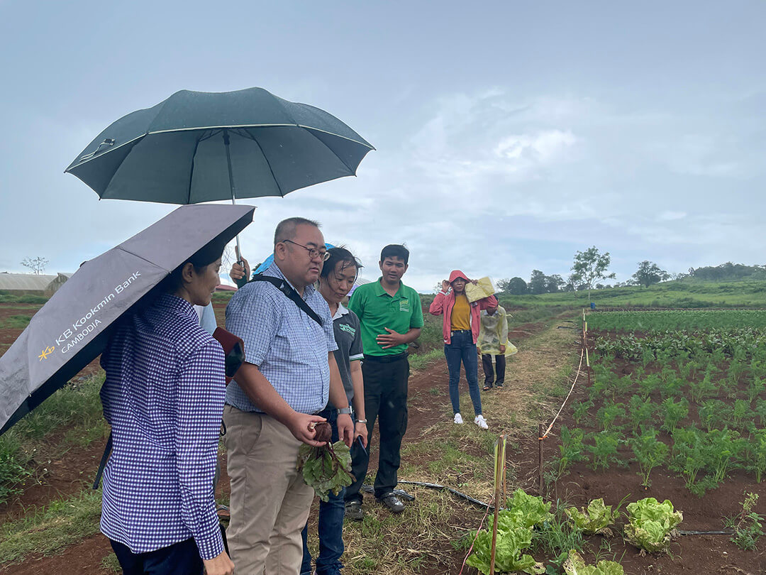 AEON visited the natural vegetable cultivation at Mondulkiri - AEON ...