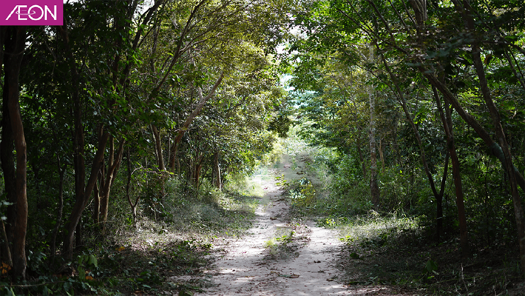 AEON Cambodia Co., Ltd. Visit to School Building and Tree Planting at ...
